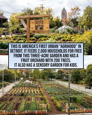Michigan Urban Farming Feeds 2000 Households For Free From This Three ...