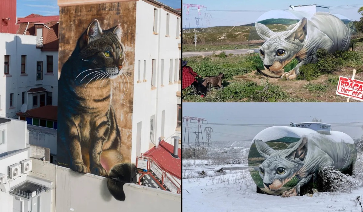 45 Cats - Purrrrrfect Street Art Pieces - STREET ART UTOPIA
