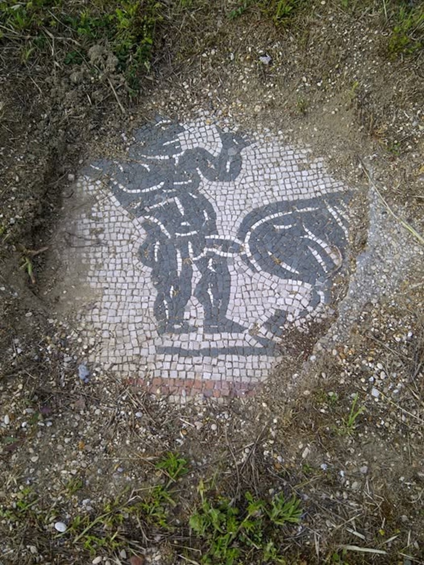 Ancient Mosaic Hidden For Centuries (7 Photos) - STREET ART UTOPIA