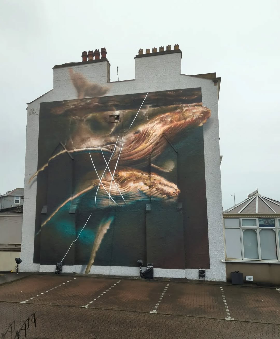 6 Unbelievable Animal-Inspired Murals by Jack Lack (Including a Sleepy ...