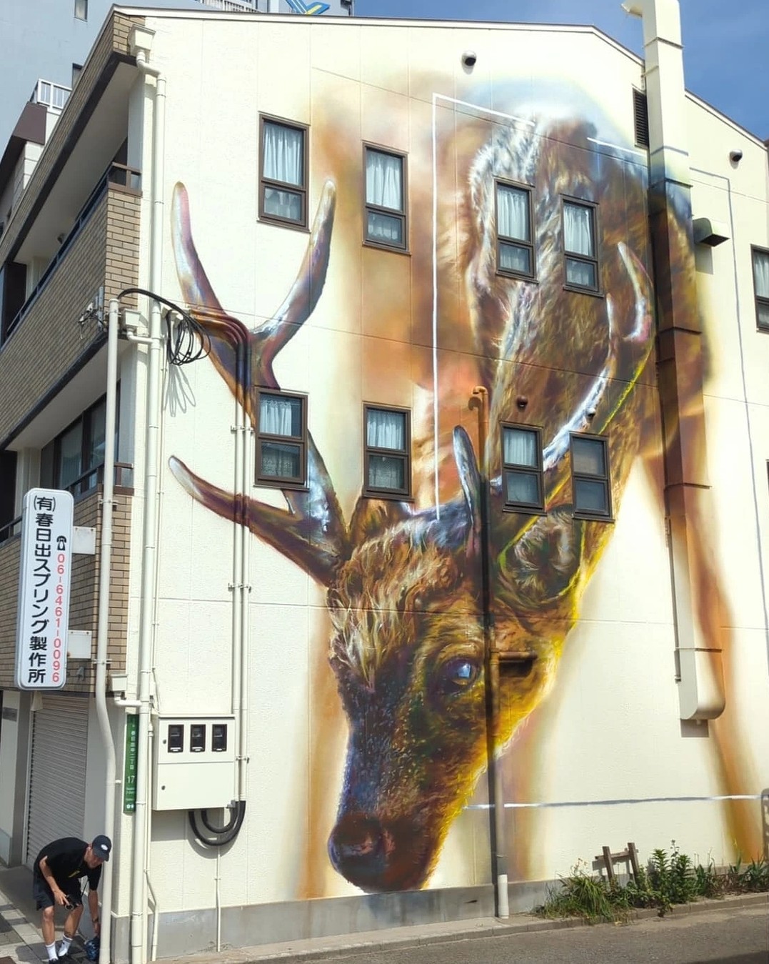 6 Unbelievable Animal-Inspired Murals by Jack Lack (Including a Sleepy ...