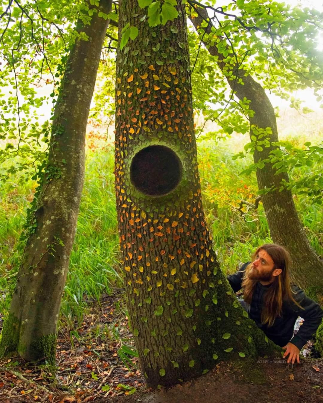 10 Forest Sculptures By Jon Foreman - STREET ART UTOPIA