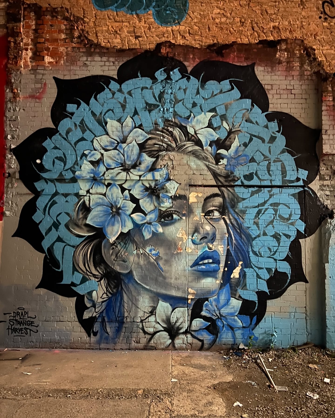 10 Stunning New Street Art Murals From Around the World (June 2025 ...