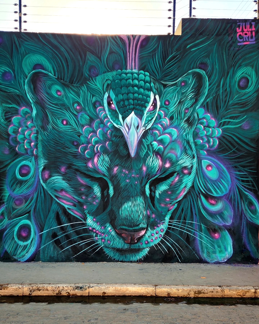 10 New Street Art Murals from Brazil You Should See (2025) - STREET ART ...