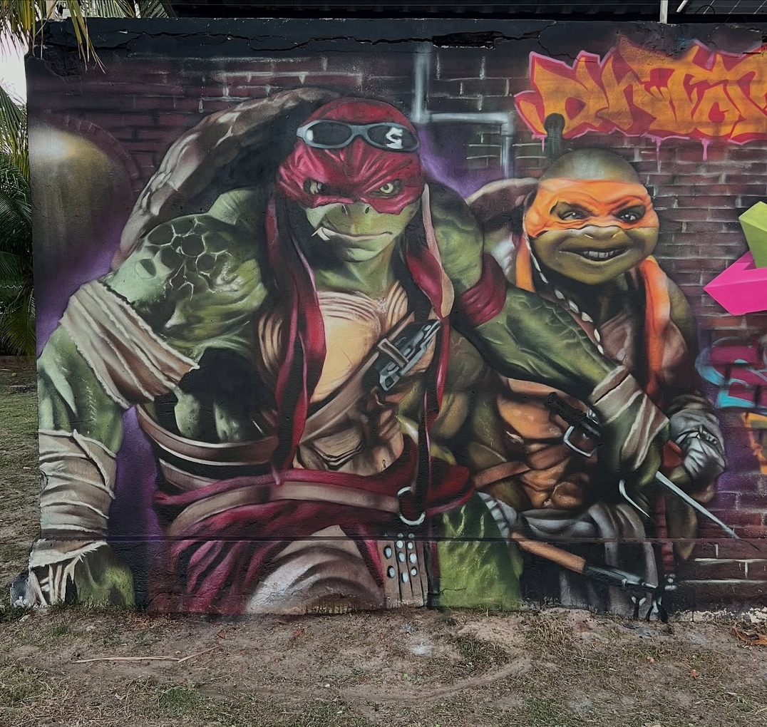 10 New Street Art Murals from Brazil You Should See (2025) - STREET ART ...