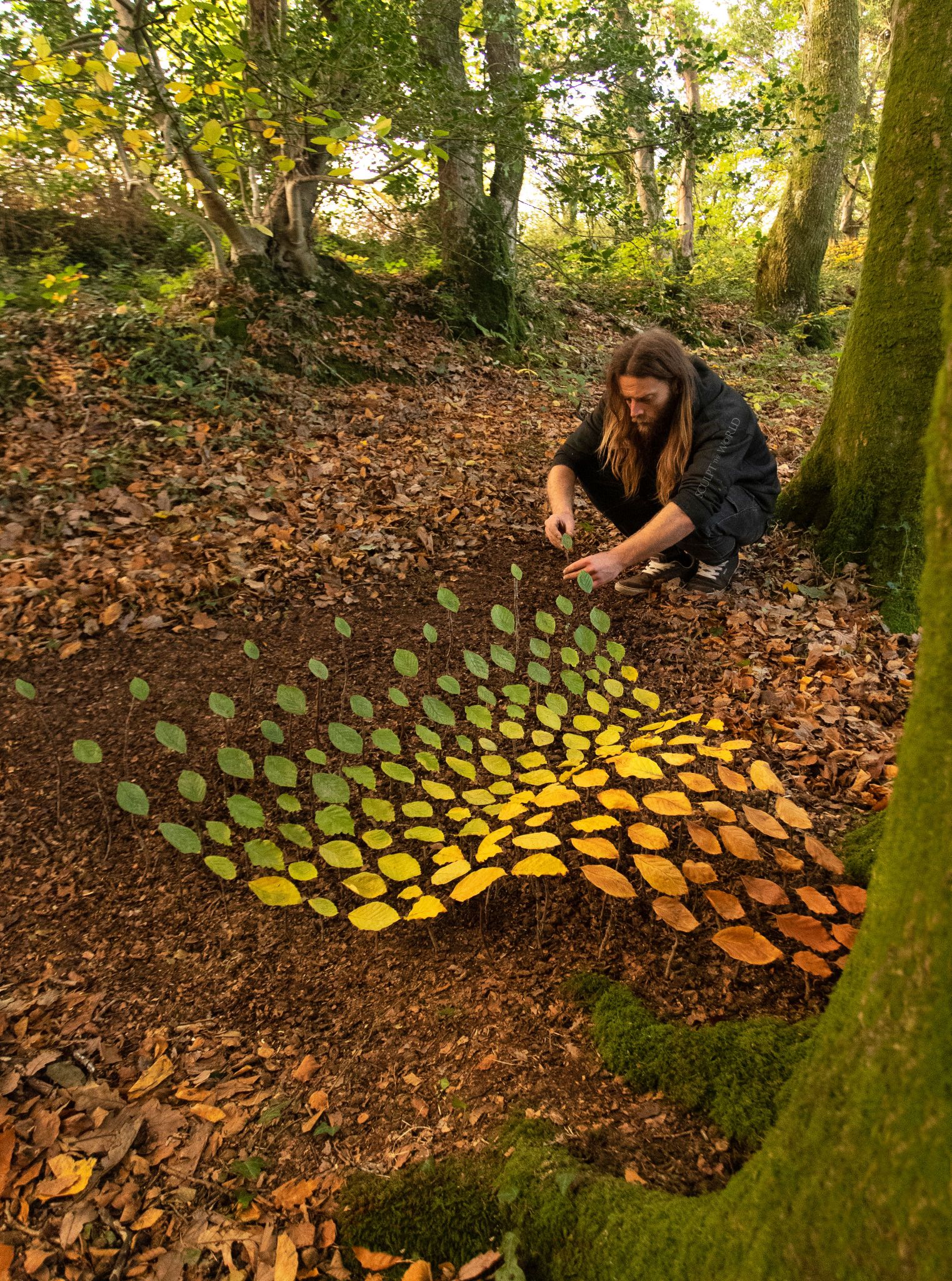 10 Forest Sculptures By Jon Foreman - STREET ART UTOPIA