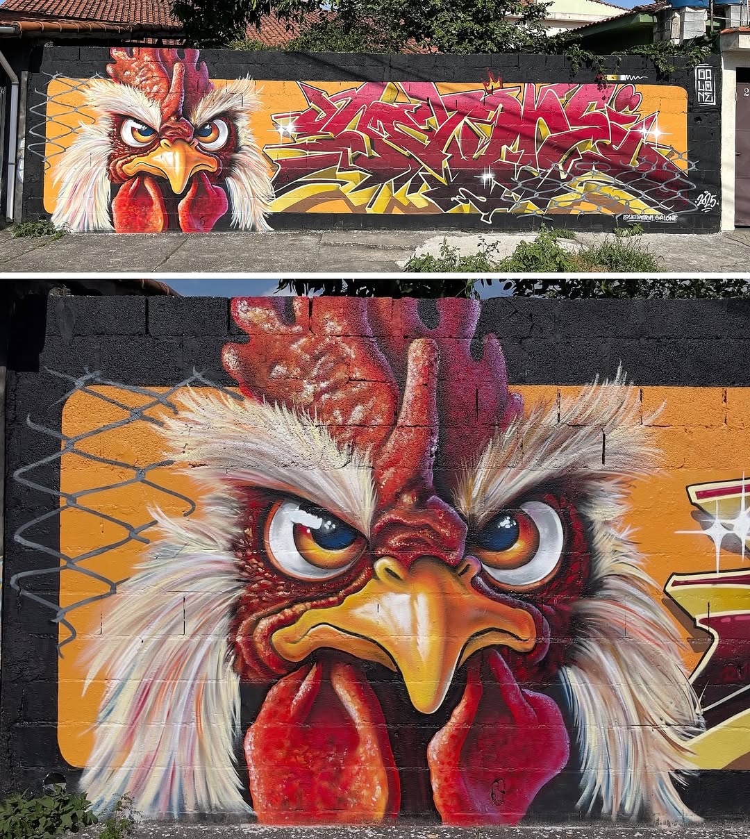 10 New Street Art Murals from Brazil You Should See (2025) - STREET ART ...