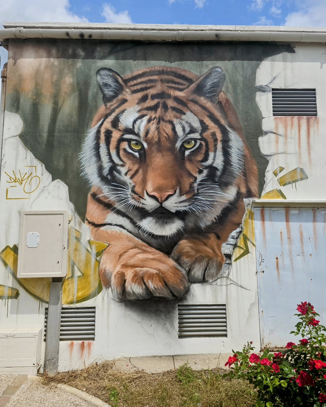 Wild Walls (10 Photos) - STREET ART UTOPIA