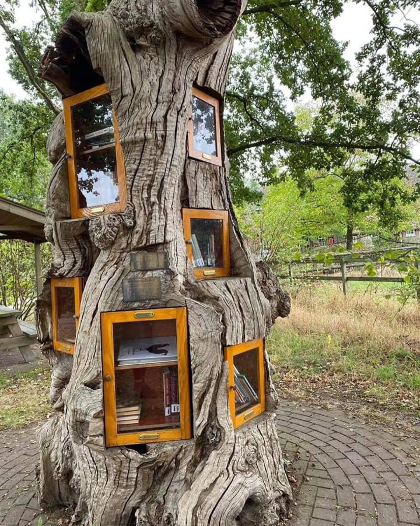 Tree Became a Library (+9 More Book Artworks) - STREET ART UTOPIA