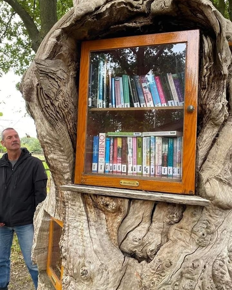 Tree Became a Library (+9 More Book Artworks) - STREET ART UTOPIA