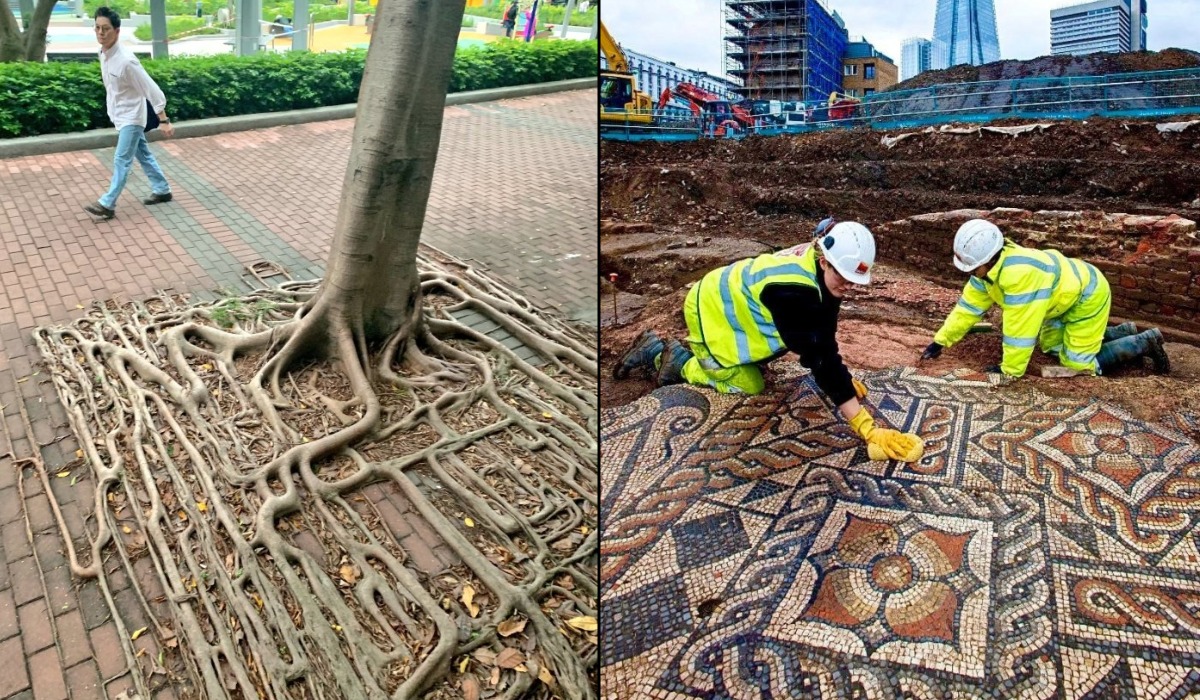 What Time Reveals (9 Photos) - STREET ART UTOPIA