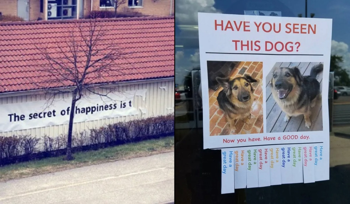 Funny Signs (8 Photos) - STREET ART UTOPIA
