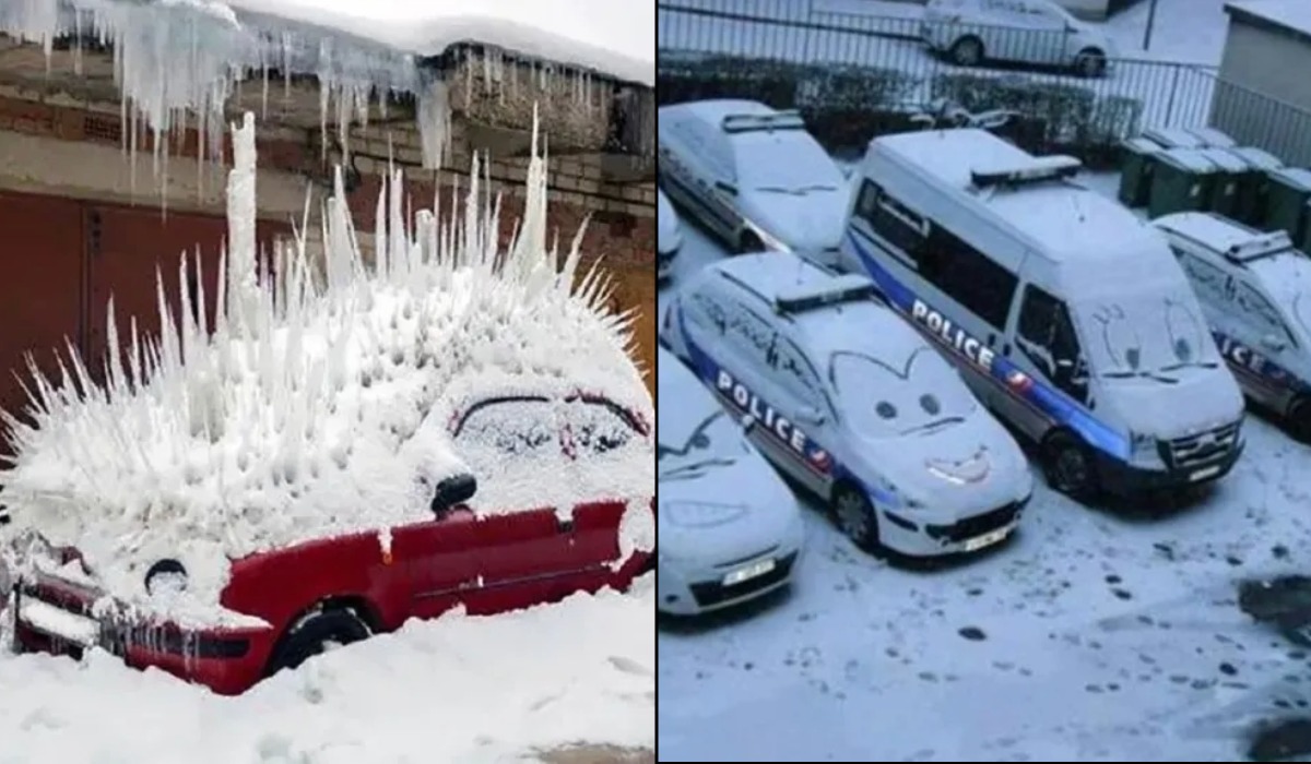 Cars With Attitude: 10 Hilarious Snow Transformations - STREET ART UTOPIA