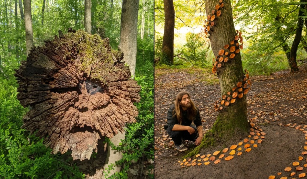 When Trees Become Art (9 Photos) - STREET ART UTOPIA