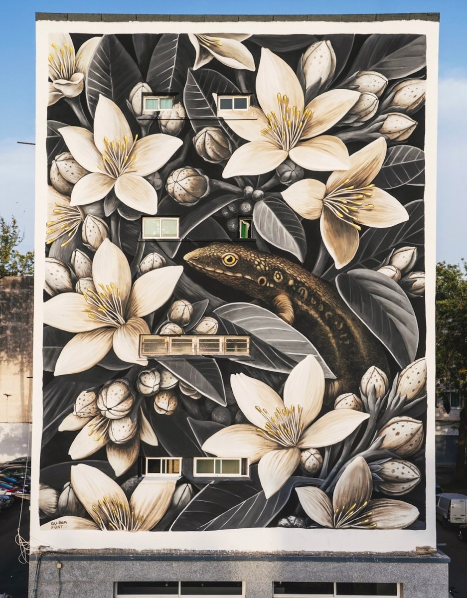 New Street Art, Murals and Public Art Vol. 8 (30 Photos) - STREET ART ...